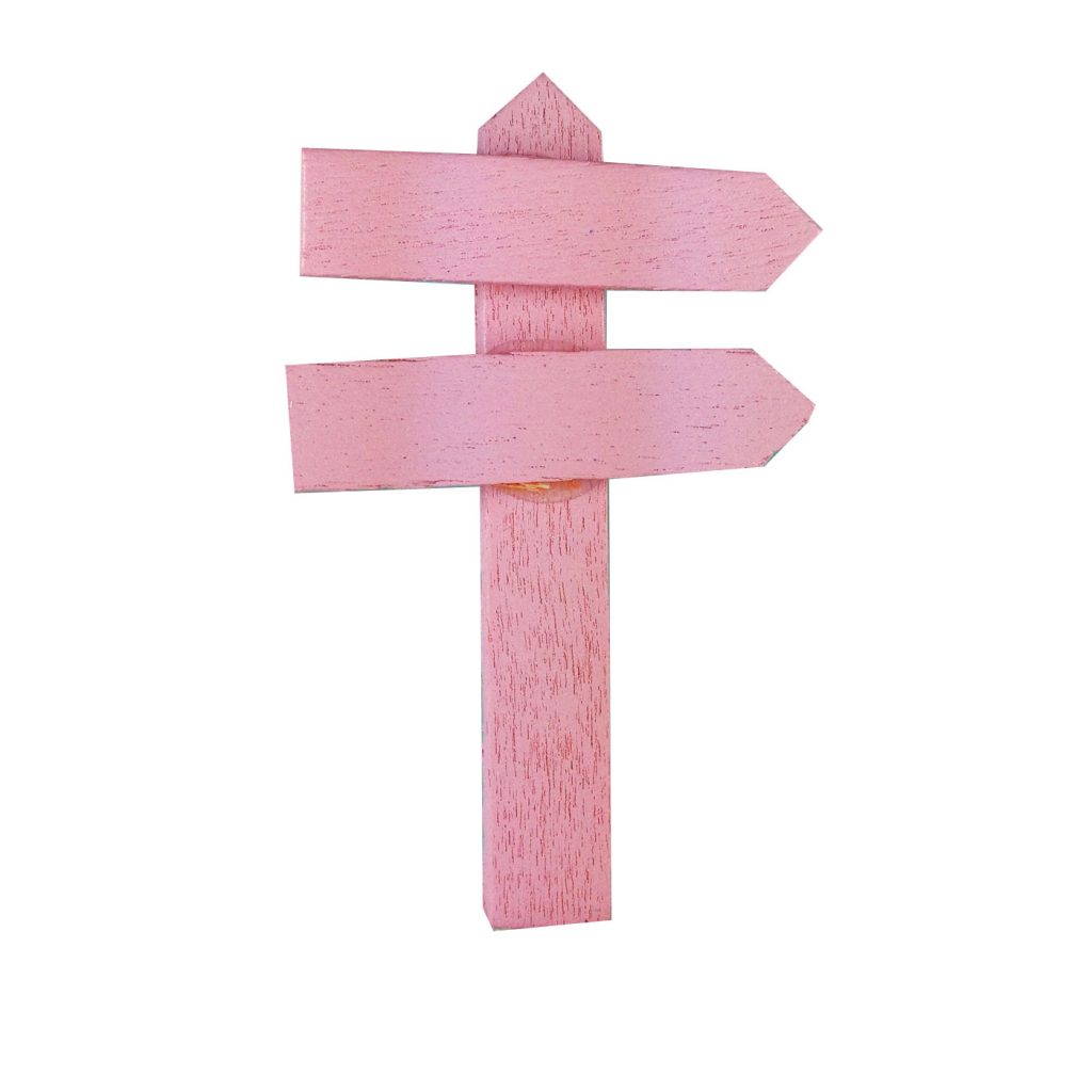 ROAD SIGN: PINK - MICRO PLANT STUDIO