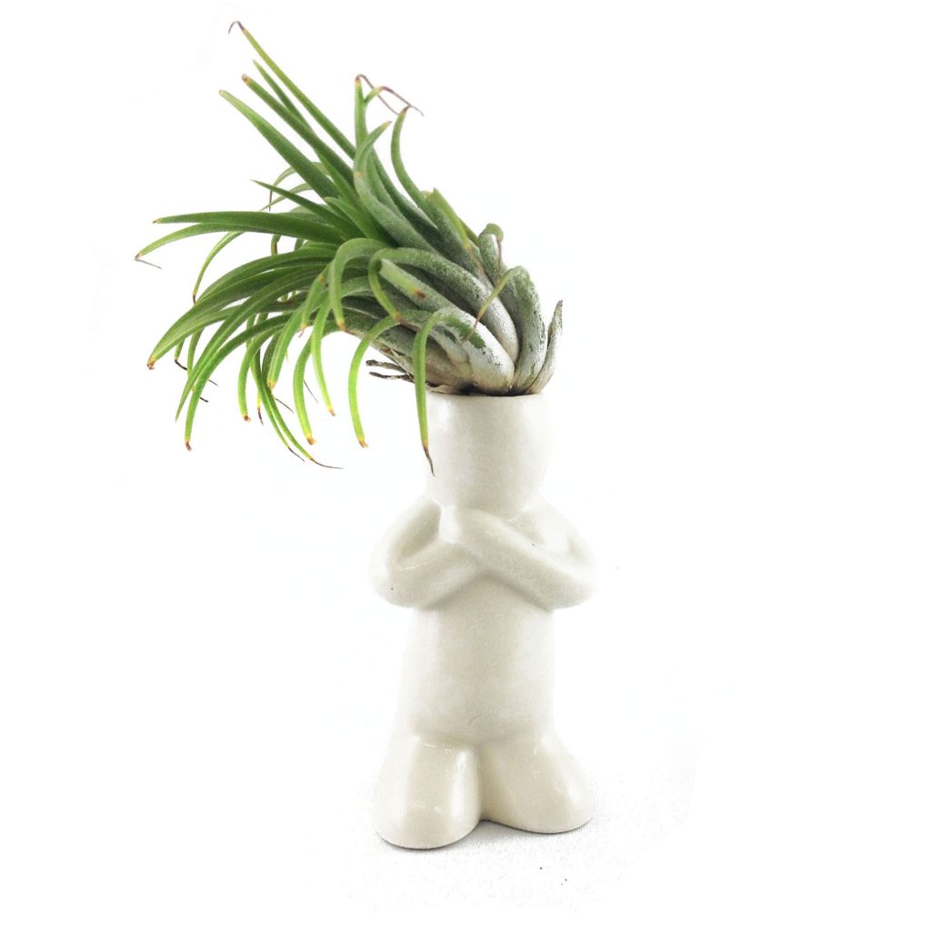 WHIM TINY PEOPLE W003 - MICRO PLANT STUDIO