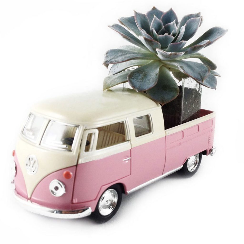 ZOOM VWMB001 - MICRO PLANT STUDIO