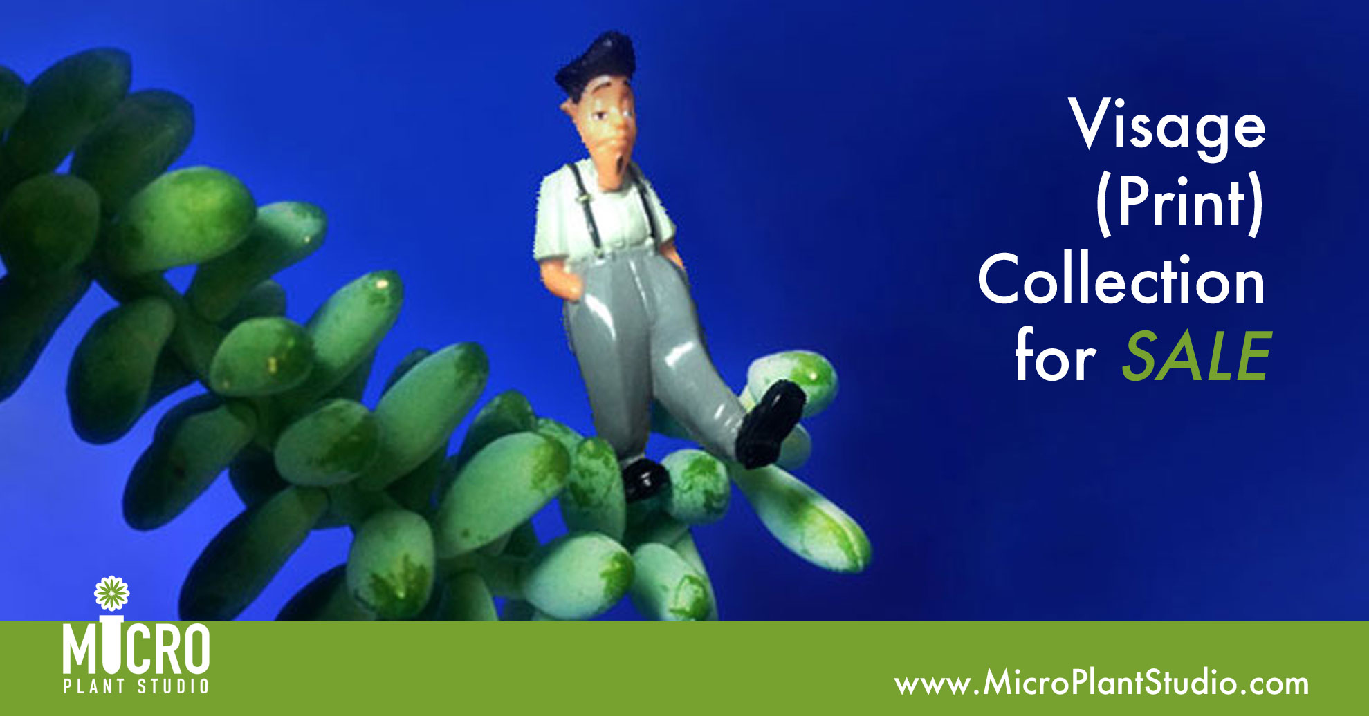 VISAGE COLLECTION - MICRO PLANT STUDIO