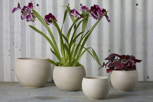 POTS - MICRO PLANT STUDIO