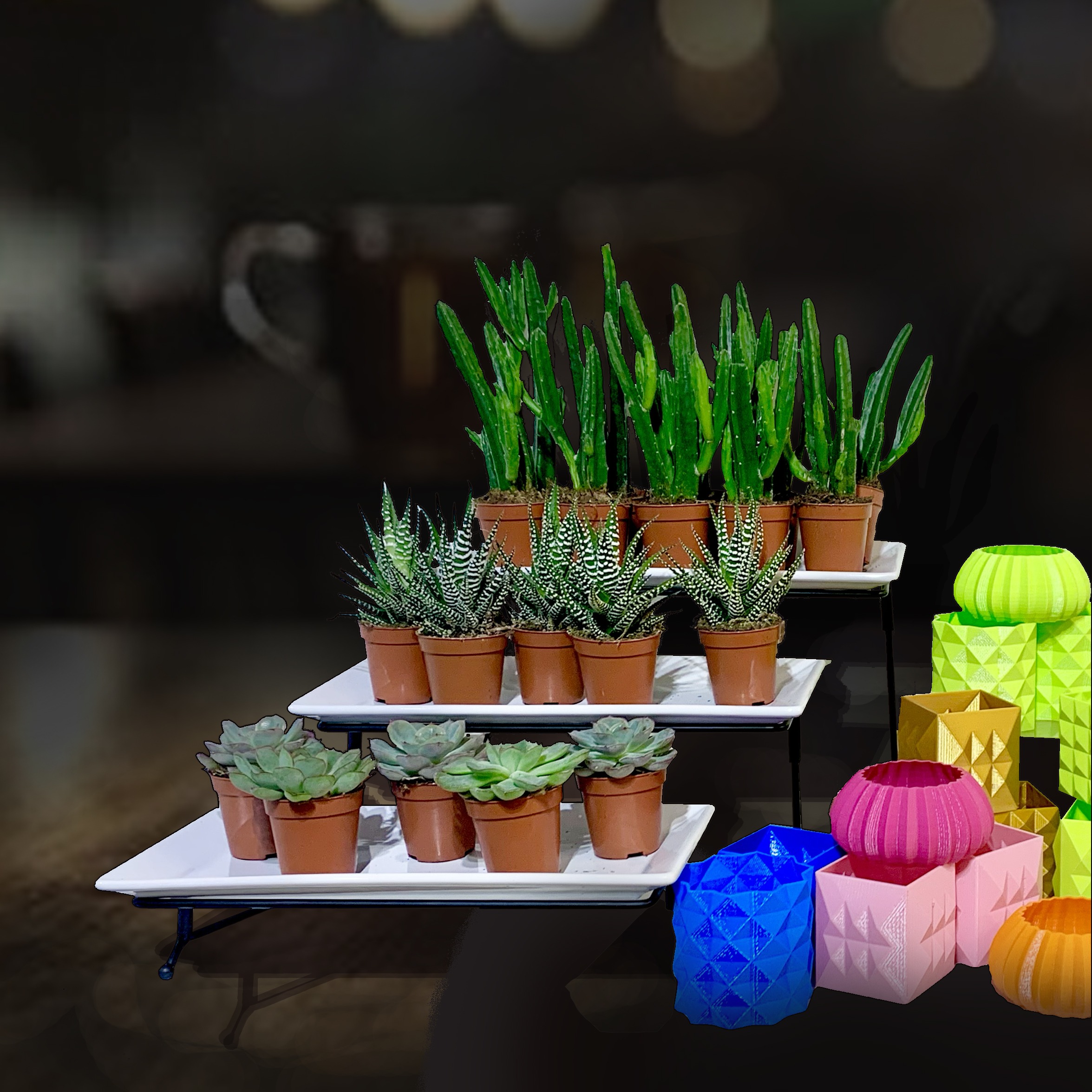 Mobile Plant Bar - MICRO PLANT STUDIO