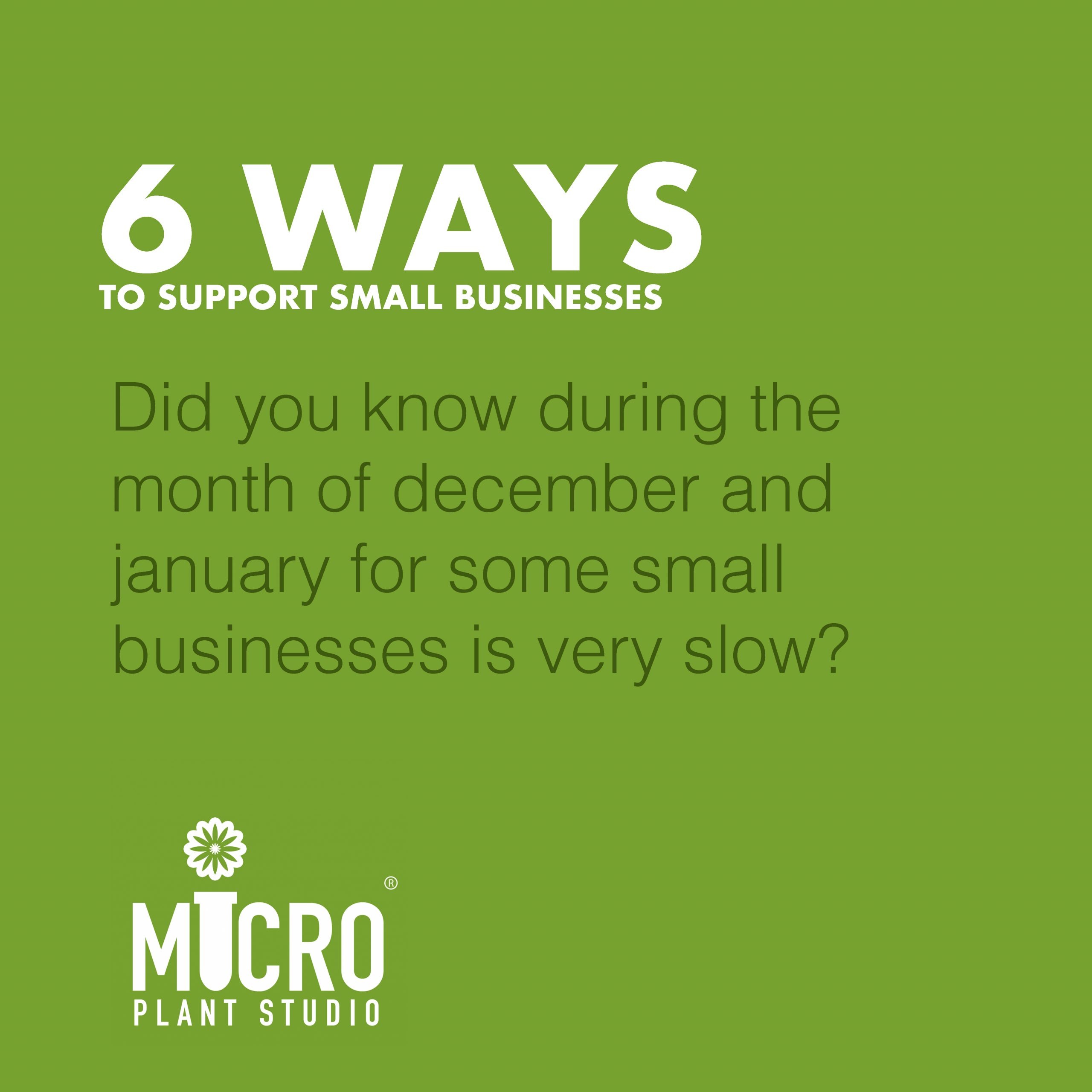 6 WAYS TO SUPPORT SMALL BUSINESSES - MICRO PLANT STUDIO