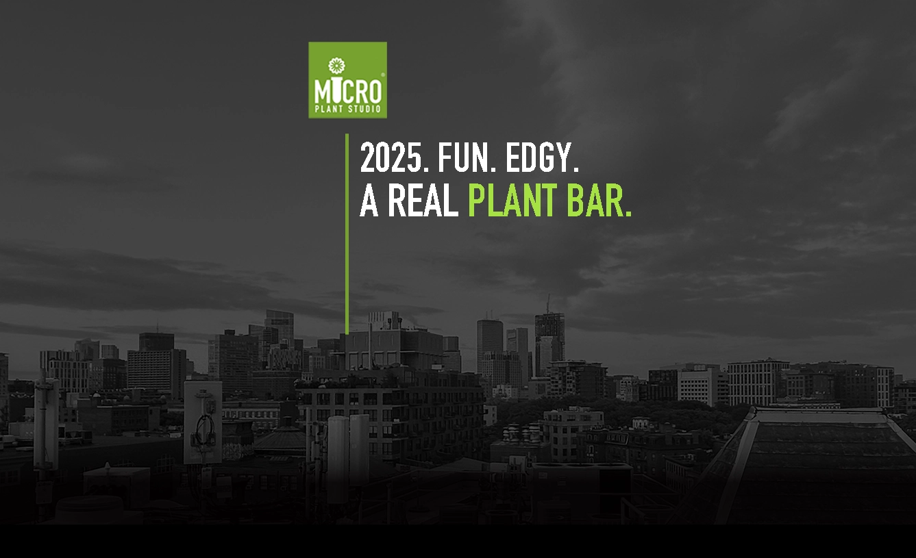 PLANT BAR: PUBLIC & PRIVATE EVENTS AND WORKSHOPS