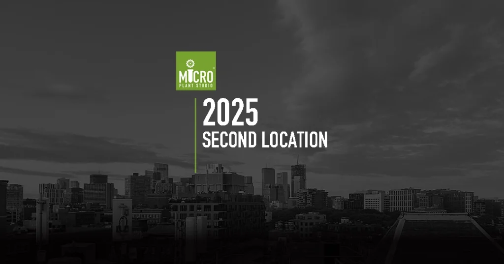 SECOND LOCATION