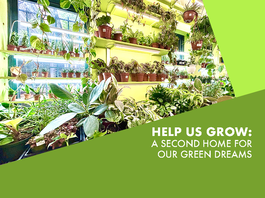HELP MICRO PLANT STUDIO GROW: A SECOND HOME FOR OUR GREEN DREAMS ...